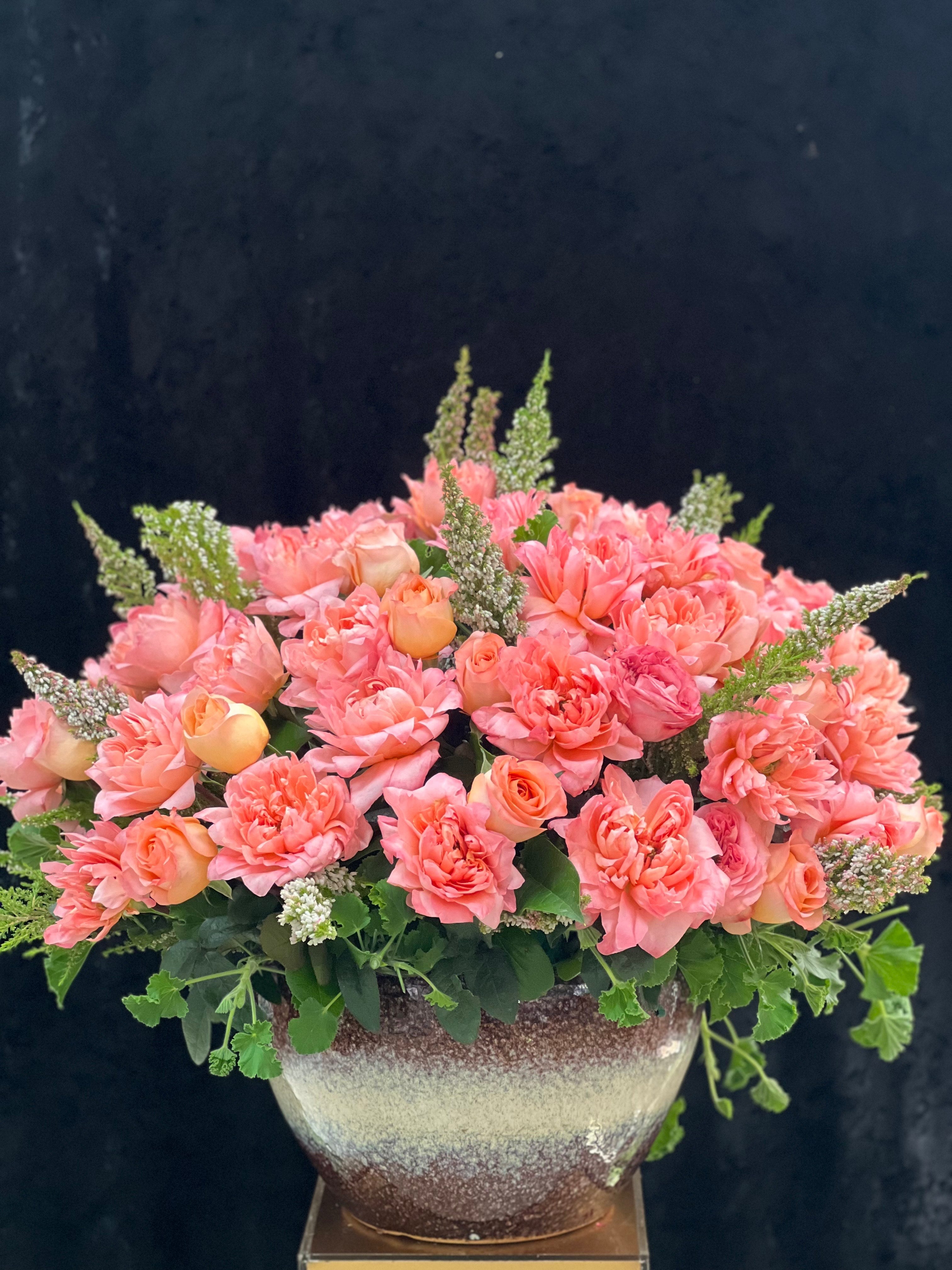 Popular Collection – Spring Flowers & Gifts